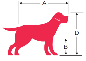 How To Measure Your Pet