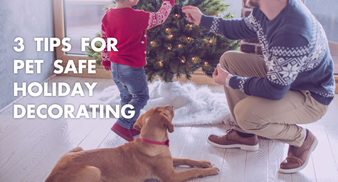 3 Tips For Pet Safe Holiday Decorating