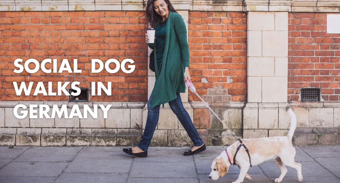 Social Dog Walks in Germany